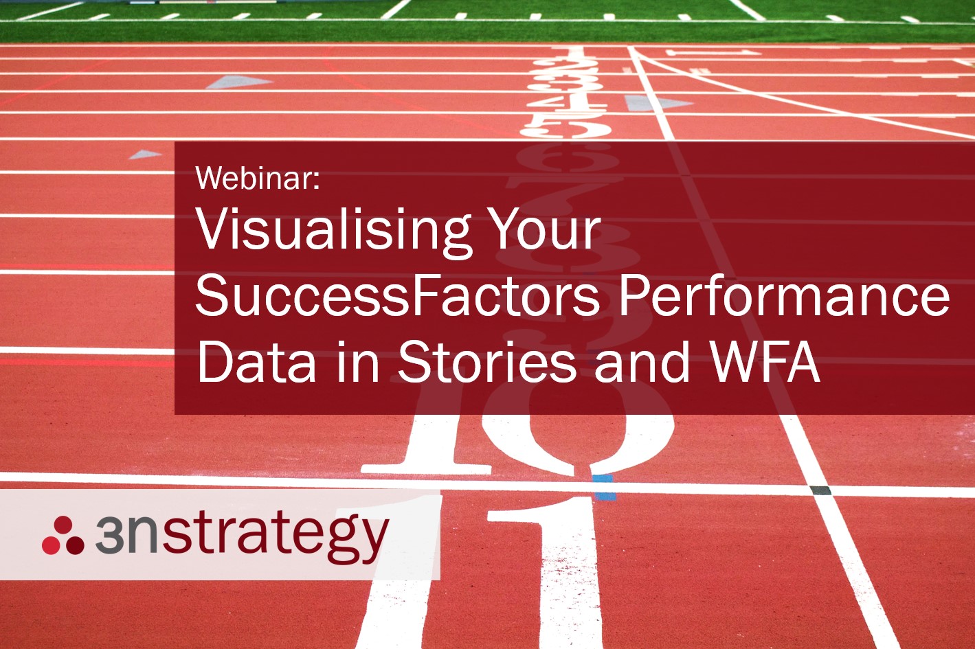 3n Strategy│Visualising Your Performance Data in SuccessFactors